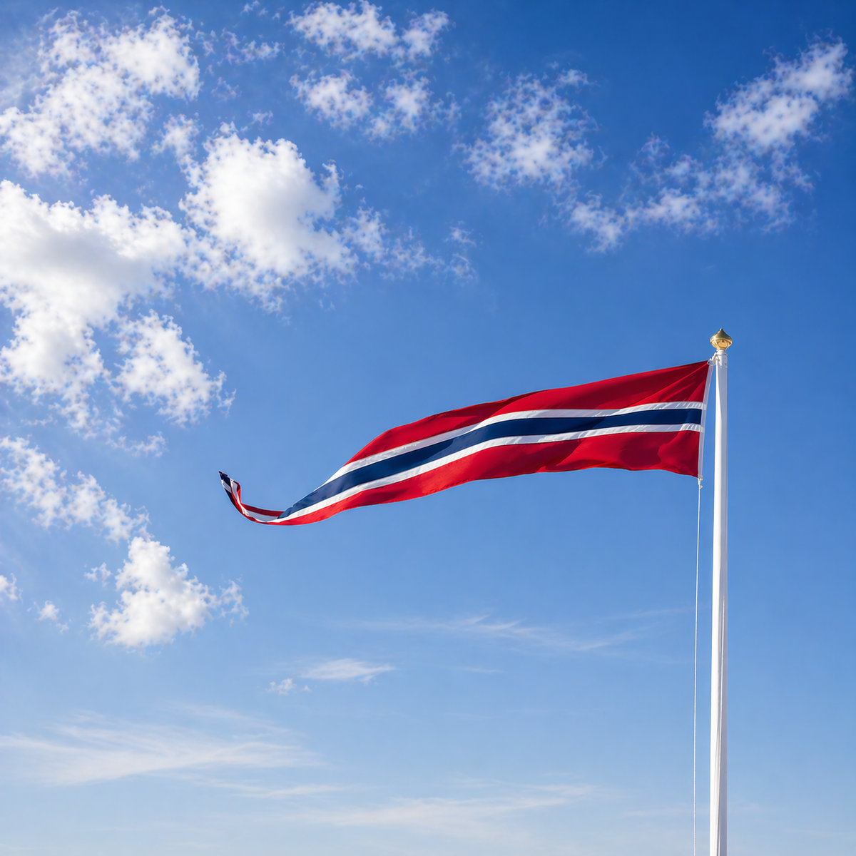 Norsk vimpel til flaggstang i høy kvalitet – Langkilde & Søn